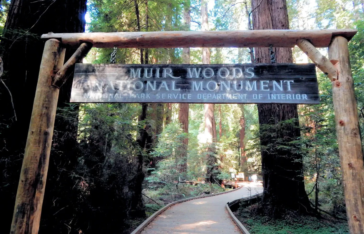 Muir Woods, CA