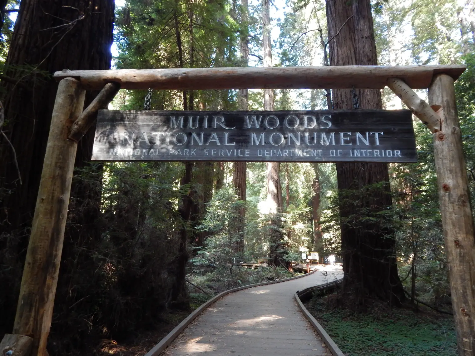 Muir Woods, CA